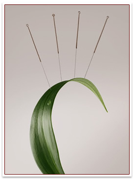 Services - Y & Y Acupuncture and Chiropractic